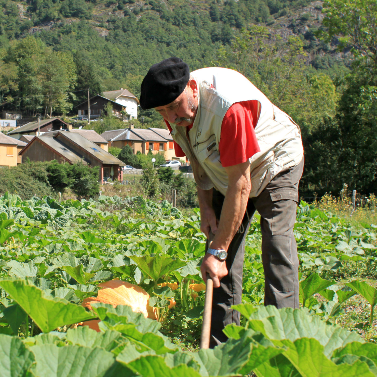 Accueil - Camping et Chalets d'Orlu