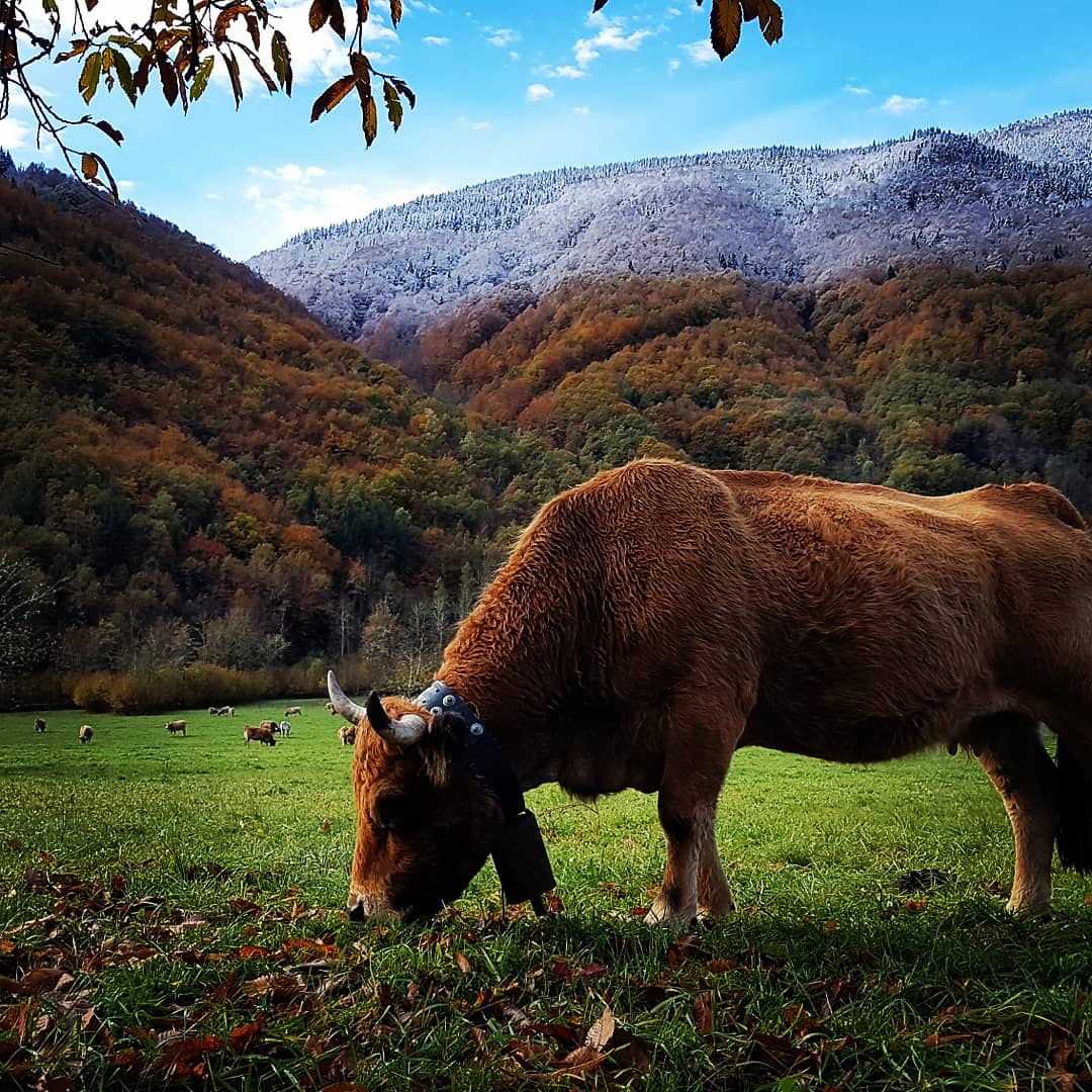 La vie au village - Camping et Chalets d'Orlu